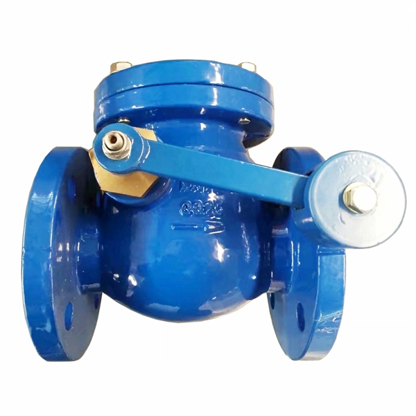 AWWA C508 Swing Check Valve with Weight & Lever (JMH44XW) – Kinger Industry